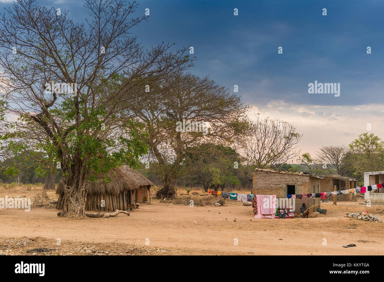 small African village with imbondeiros. Angola Stock Photo - Alamy