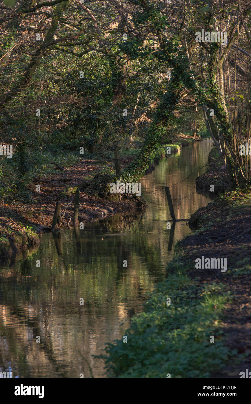 Watery, waterlogged land in the region around Par, Cornwall Stock Photo ...