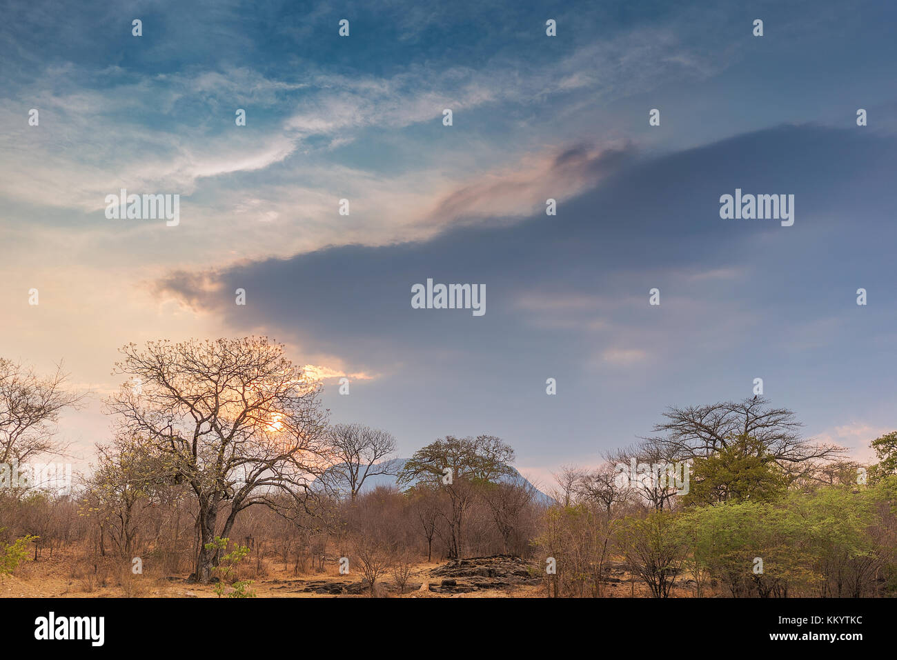 African landscape in Lubango, Angola with trees and dramatic sunset ...