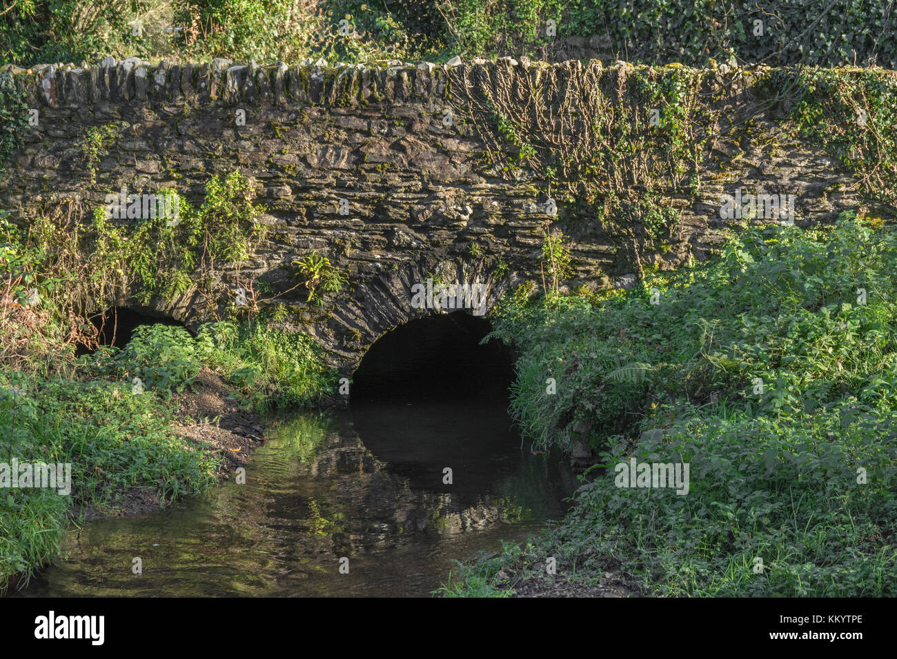 Bridge Over Stream Cornwall High Resolution Stock Photography and ...