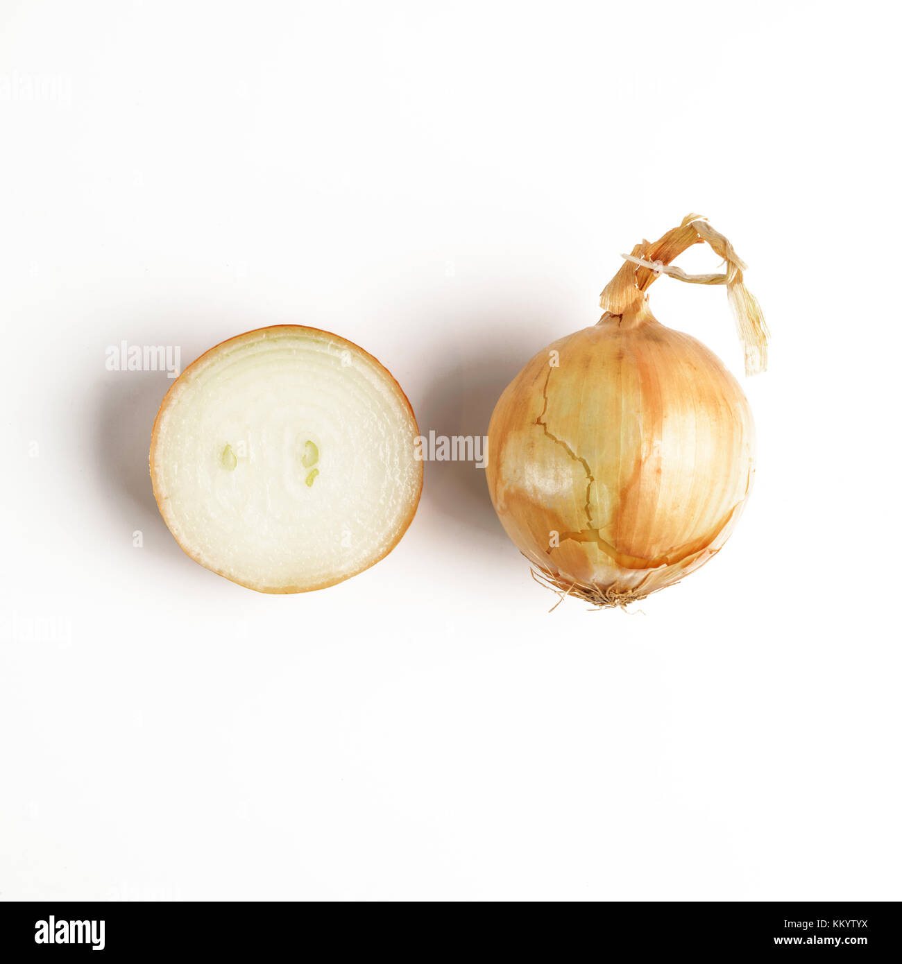 Onion full and half. Isolated on white with clipping path. Top view or ...