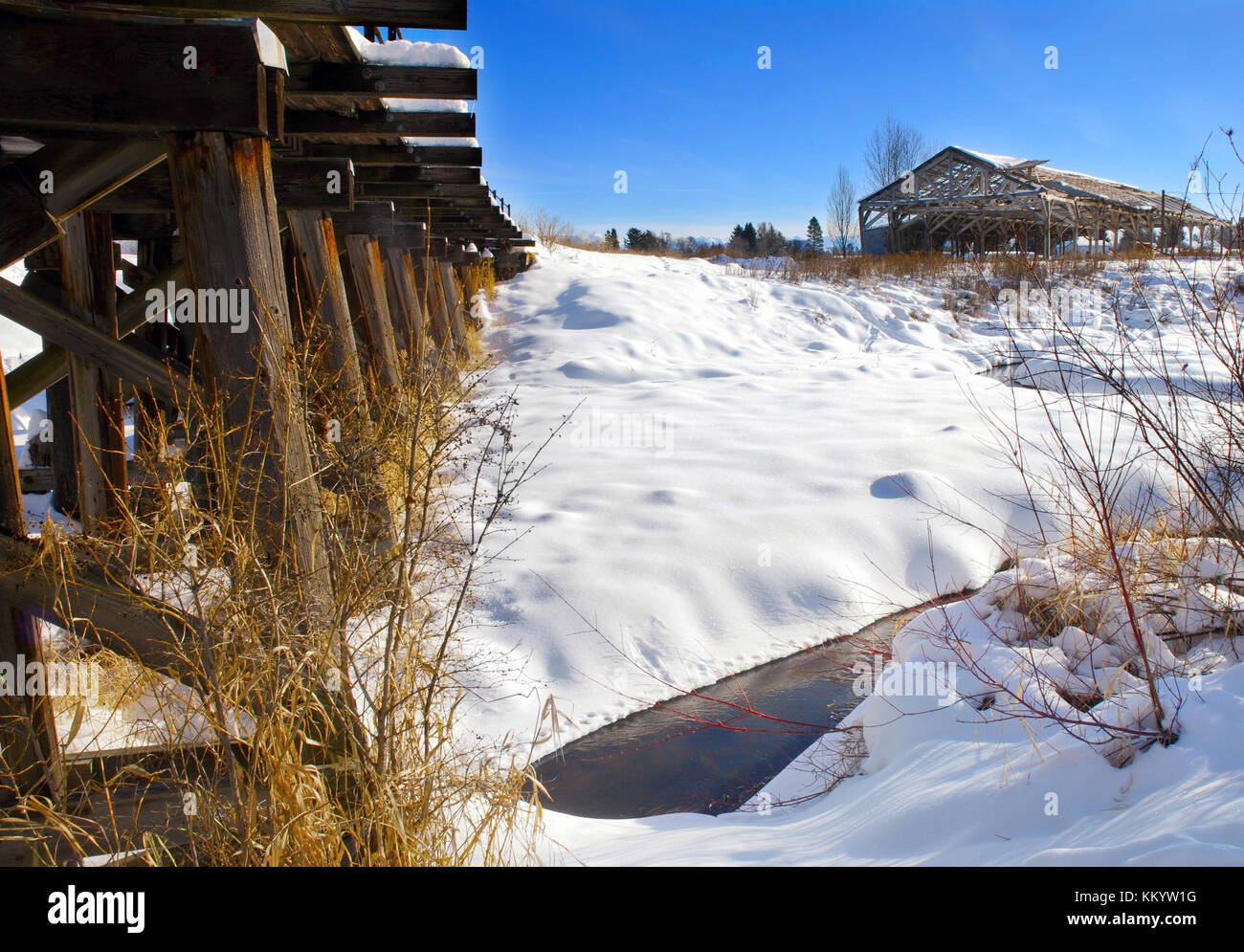 Train trellis hi-res stock photography and images - Alamy
