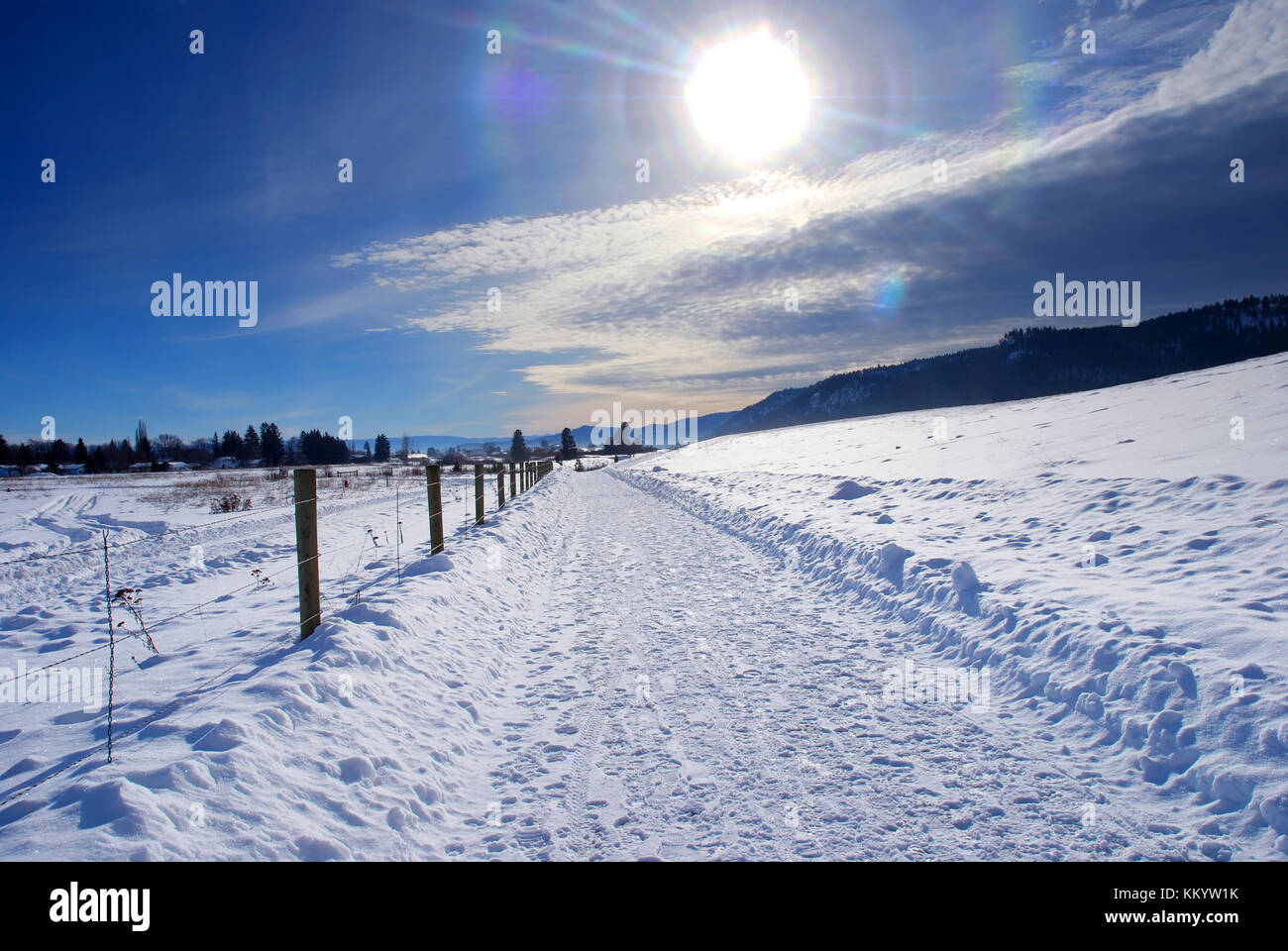 Walking trail covered in snow heading into the sun Stock Photo - Alamy