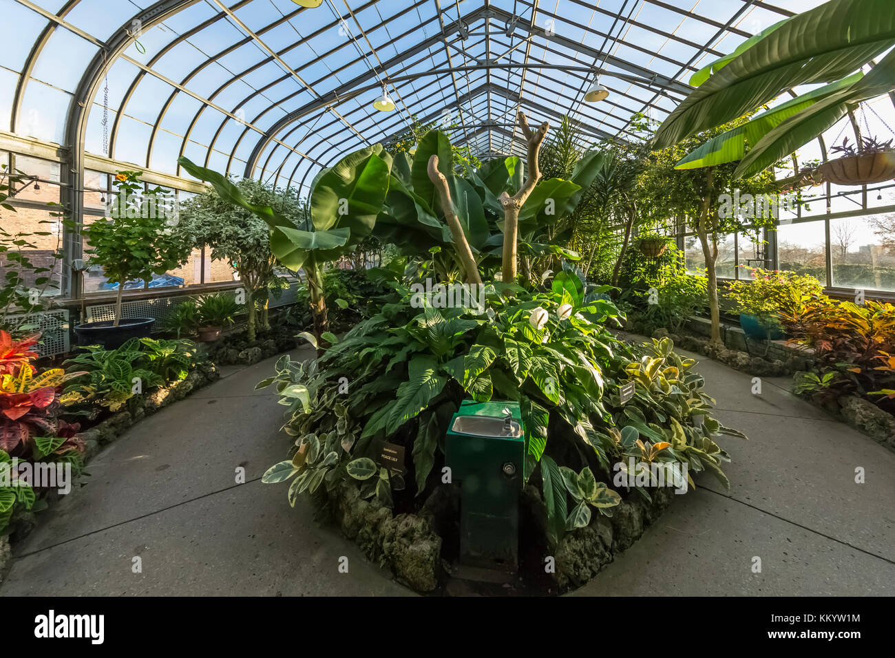 Tropical House within the Anna Scripps Whitcomb Conservatory in Belle ...