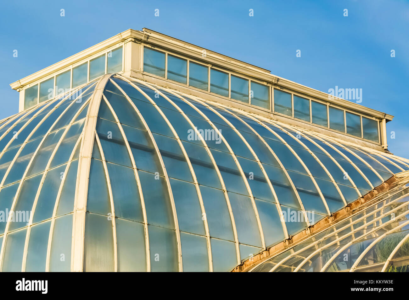 Exterior view of the Anna Scripps Whitcomb Conservatory in Belle Isle ...