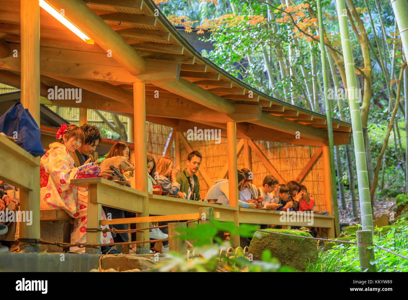 Tea Ceremony in Japan Stock Photo - Alamy