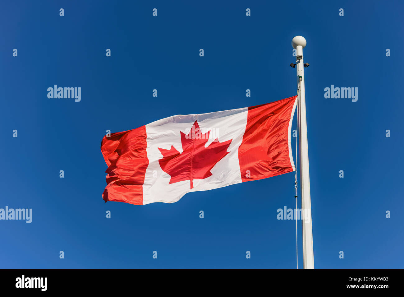 Flag of Canada flying against a blue sky in Vancouver, BC, Canada Stock ...