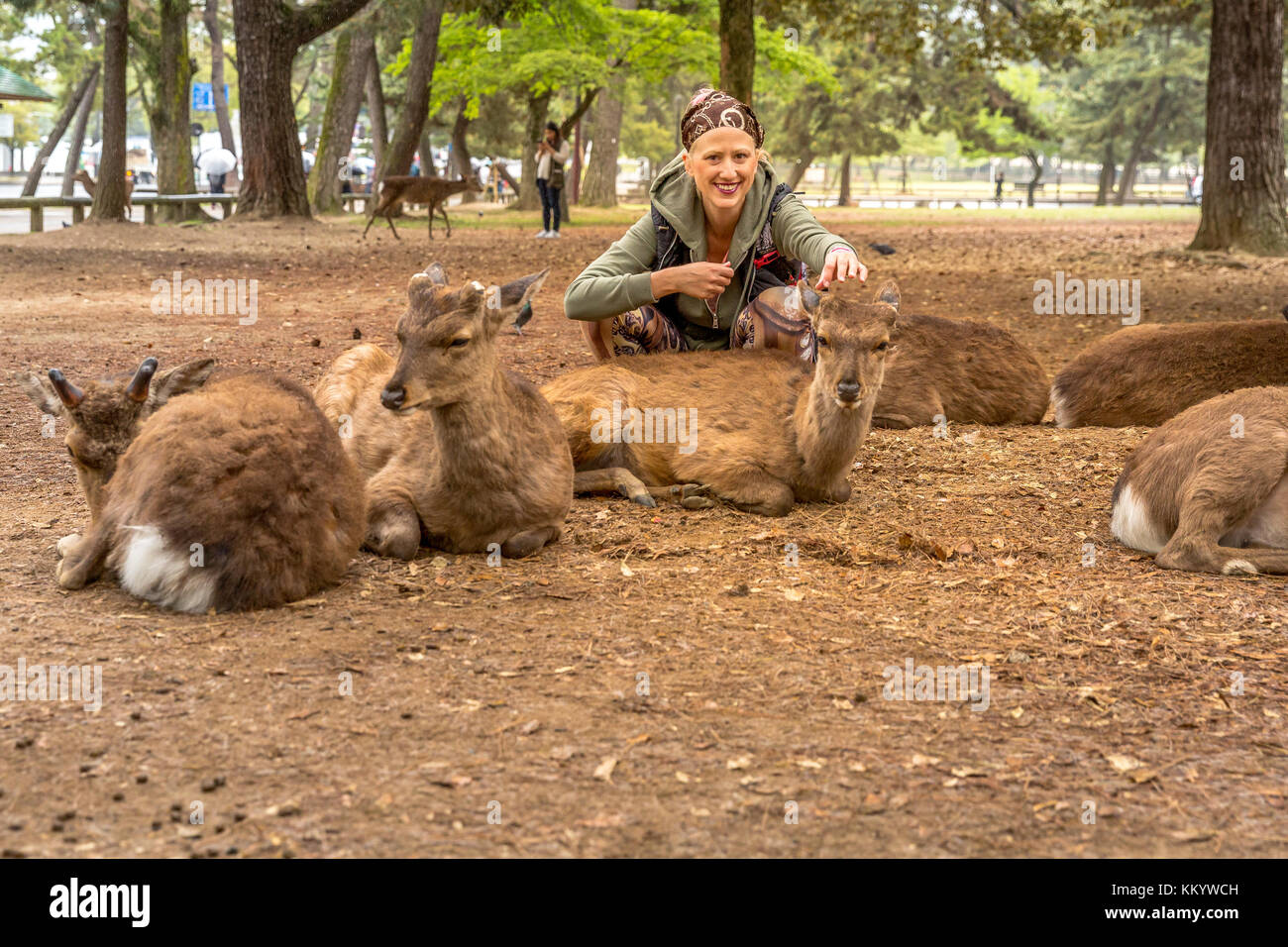 Animal hungry icon hi-res stock photography and images - Alamy
