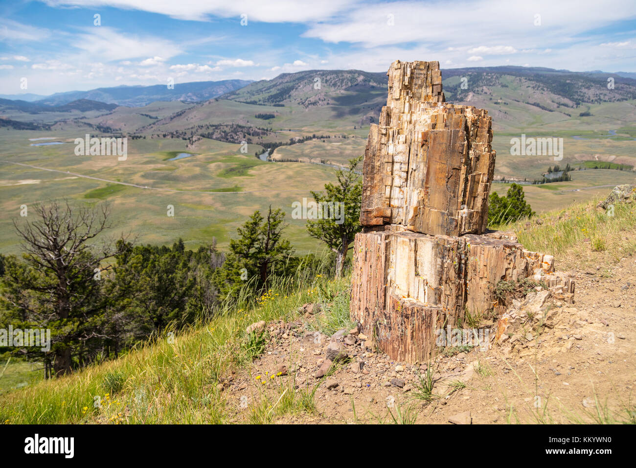 Specimen ridge yellowstone hi-res stock photography and images - Alamy