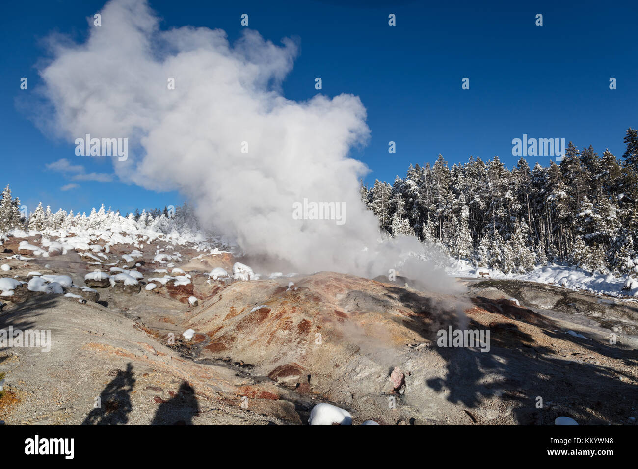 Snow surrounds Steamboat Geyser in the Norris Geyser Basin at the ...
