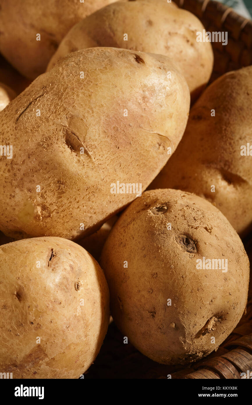whole, fresh, raw white potatoes from Lancaster County, Pennsylvania ...