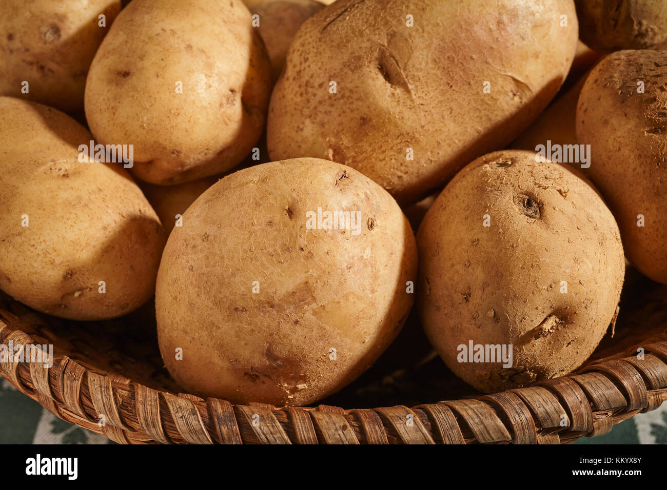 whole, fresh, raw white potatoes from Lancaster County, Pennsylvania ...