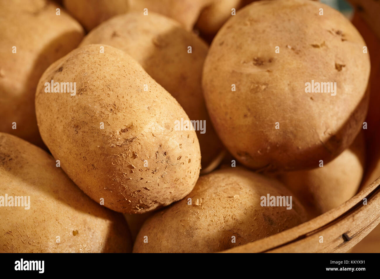 whole, fresh, raw white potatoes from Lancaster County, Pennsylvania ...