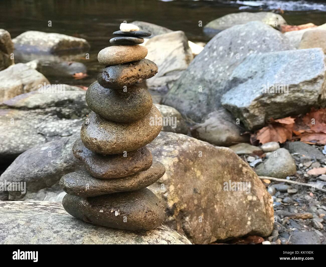 by the stream Stock Photo - Alamy