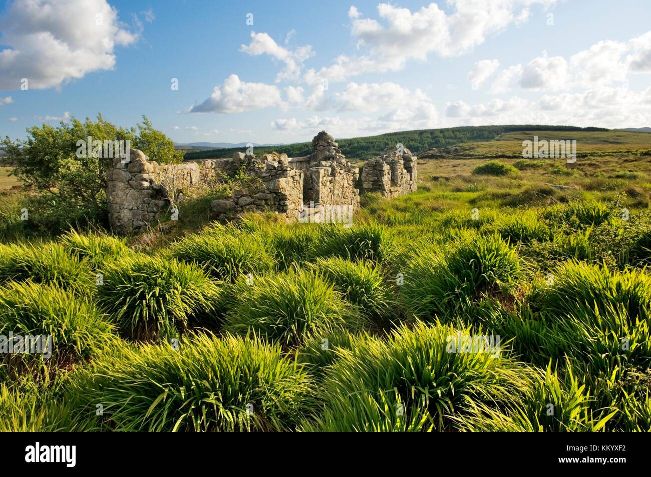 Hill farm house cottage ruin in landscape near Dunglow on the mountain ...