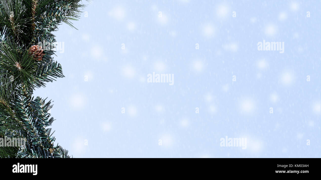 Pine branch with snow in hero header format Stock Photo - Alamy
