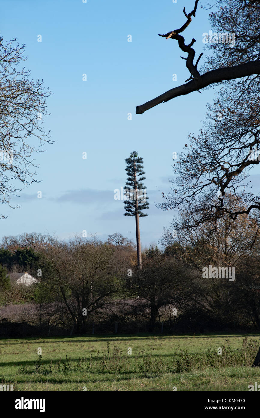 Mobile phone mast disguised as a tree hi-res stock photography and ...