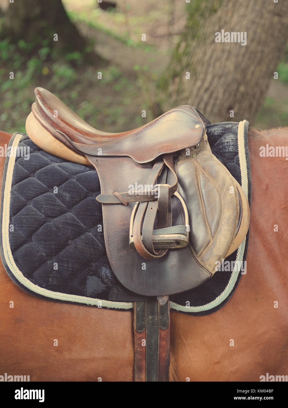 Detail of a horse saddle, horizontal shot Stock Photo - Alamy