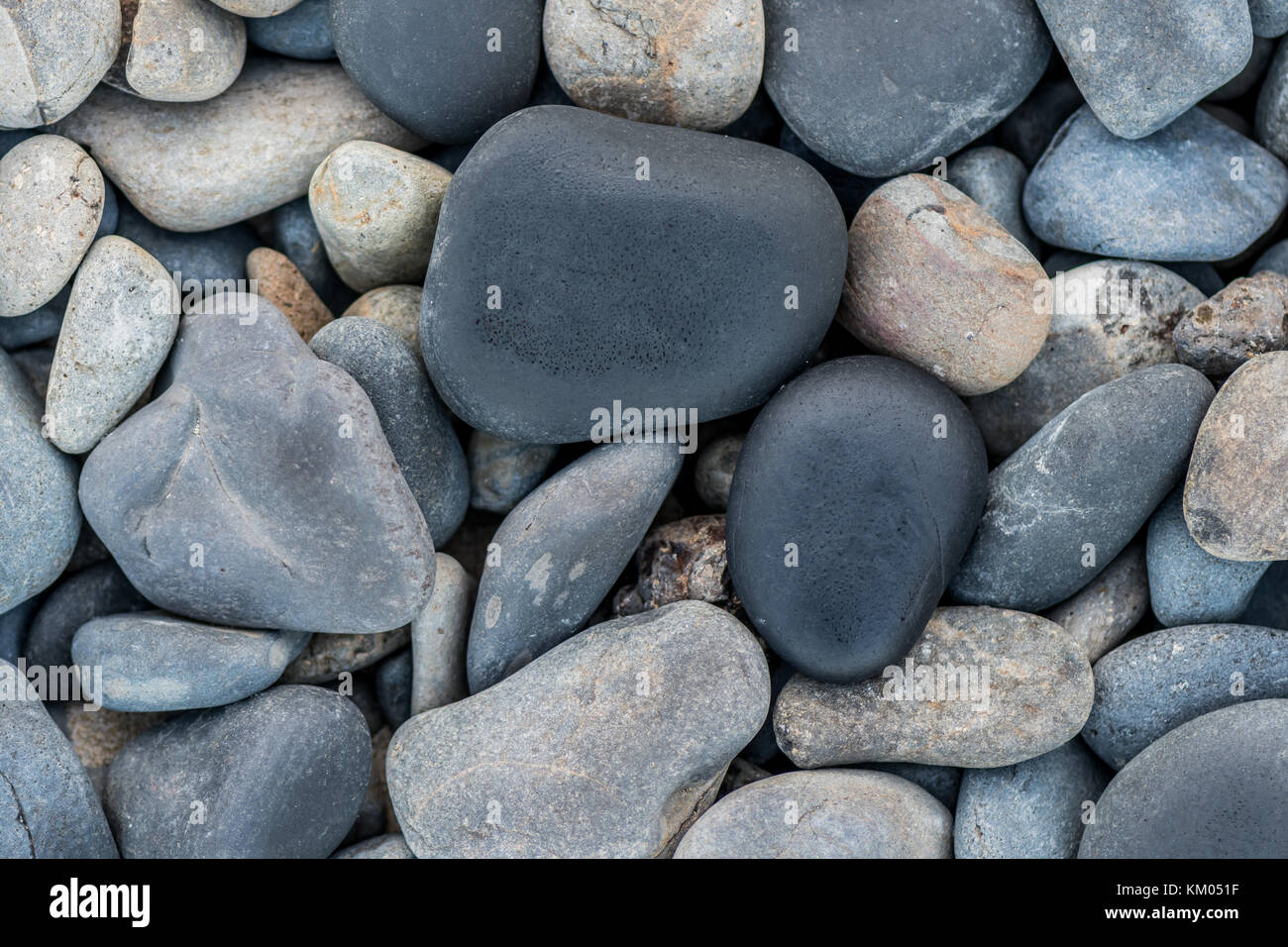 Smooth Beach Rocks at upper edge of tide Stock Photo - Alamy