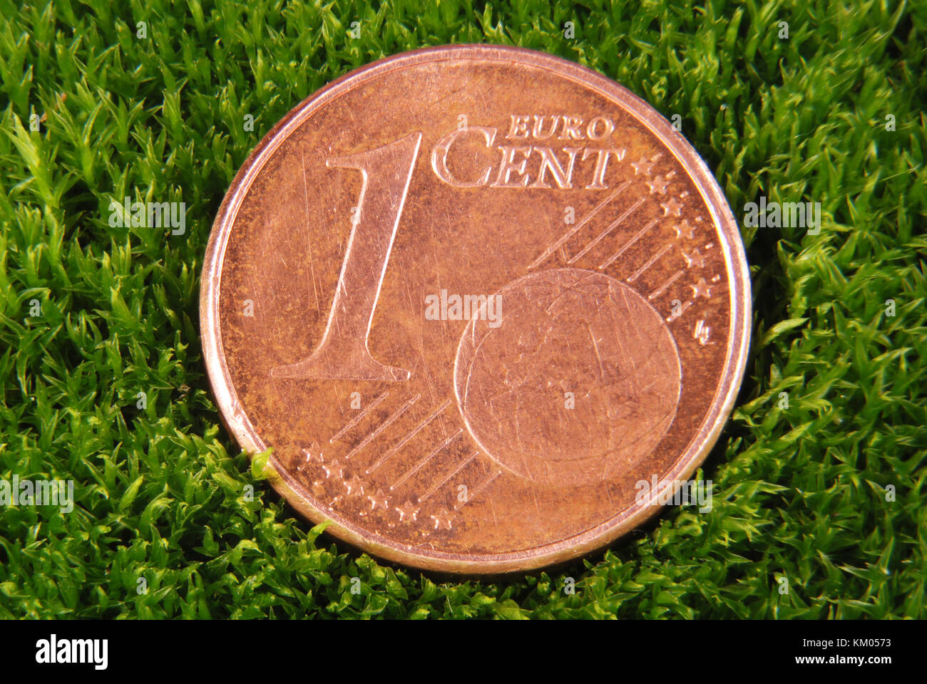 The lost coin lays on a moss. One euro cent on moss backgrounds Stock ...