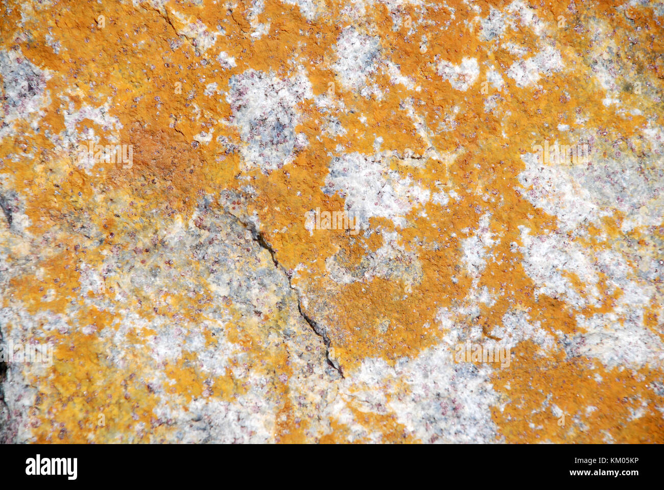 Brown structure of a granite. Granite texture Stock Photo - Alamy