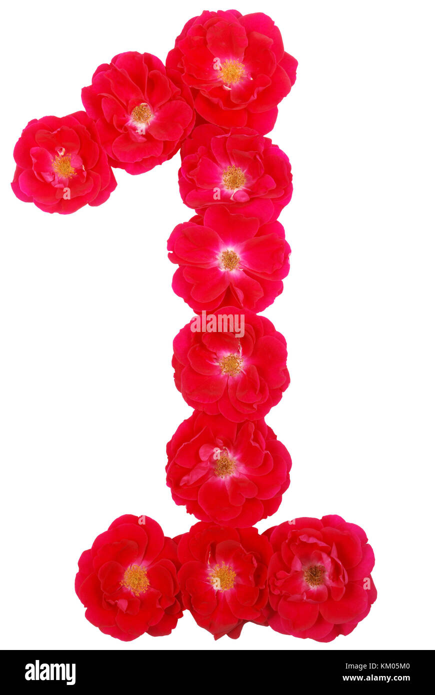 Number one laid out by roses on a white background Stock Photo - Alamy