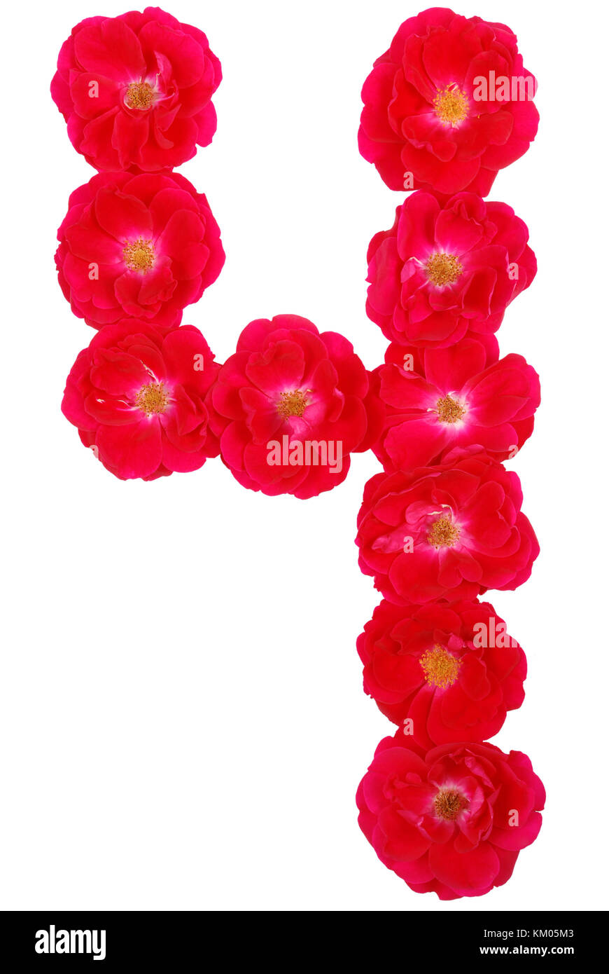 Number four laid out by roses on a white background Stock Photo - Alamy