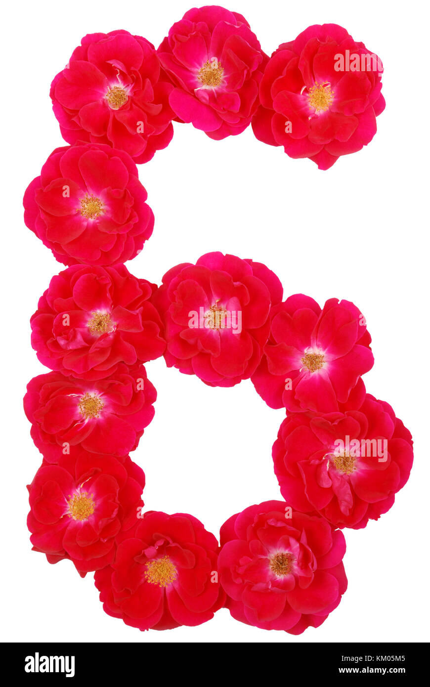 Floral number six design hi-res stock photography and images - Alamy