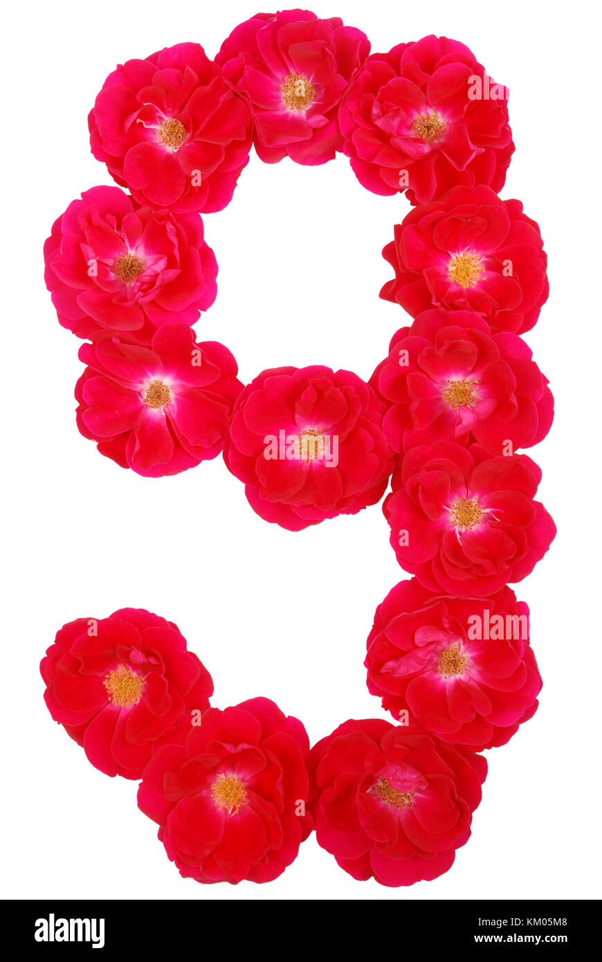 Number nine laid out by roses on a white background Stock Photo - Alamy