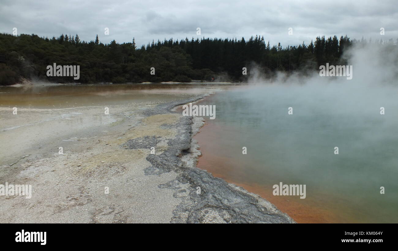 Whakarewarewa Thermal Valley, Rotorua, New Zealand Stock Photo - Alamy