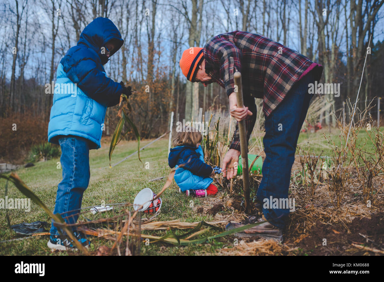 Children helping their grandfather dig in a garden during the winter ...