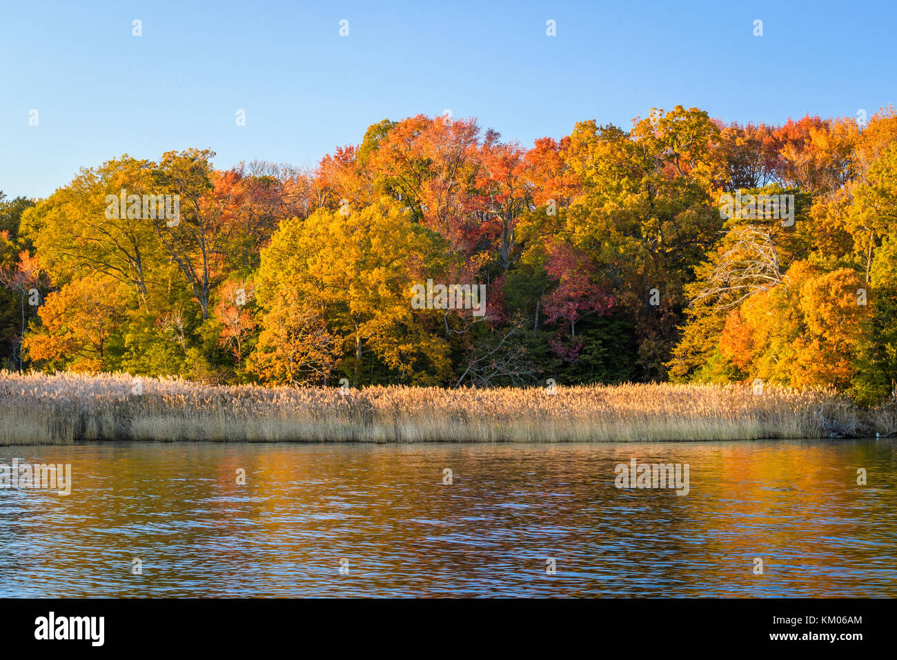 Shoreline along the Chesapeake Bay, Sandy Point State Park. Annapolis ...
