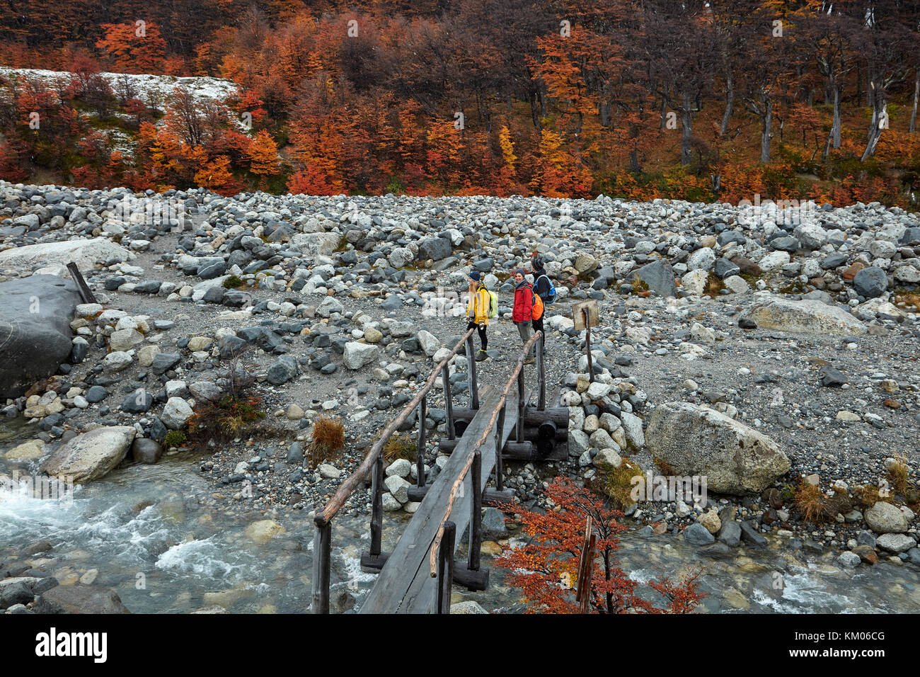 Hikers and bridge on track to Laguna de los Tres, Parque Nacional Los ...