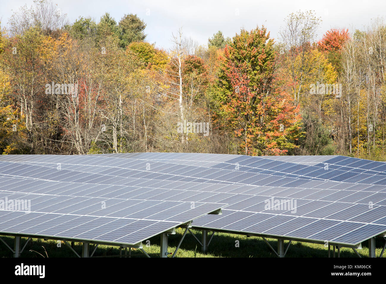 Field of solar panels hi-res stock photography and images - Alamy