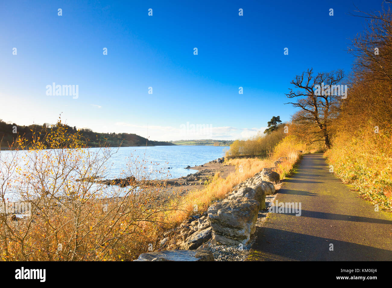 Autumn pathway Co.Cork, Ireland Europe. Beautiful landscape at the ...