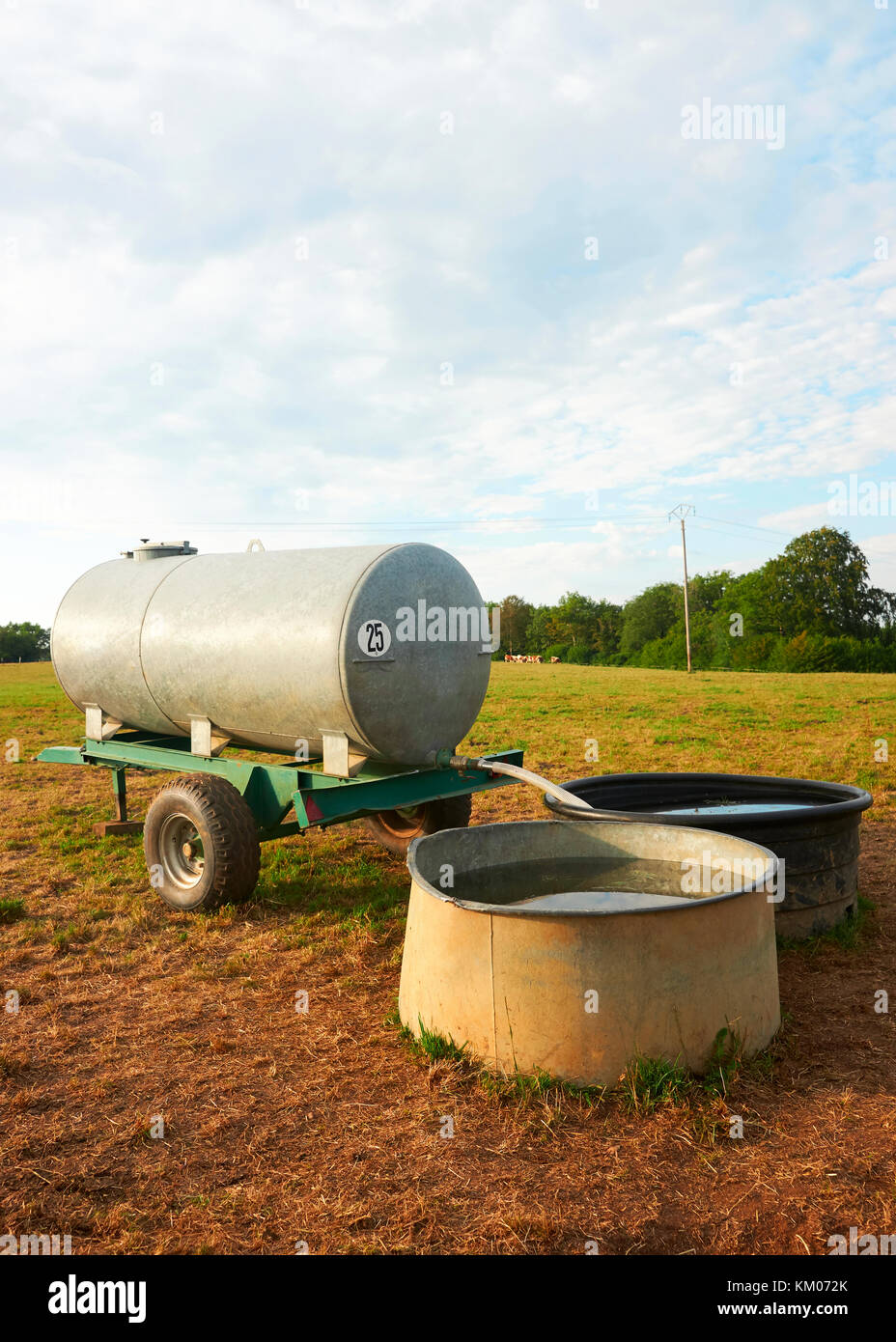 Water trough for drinking for cows cattle in the field, Franche Comte ...