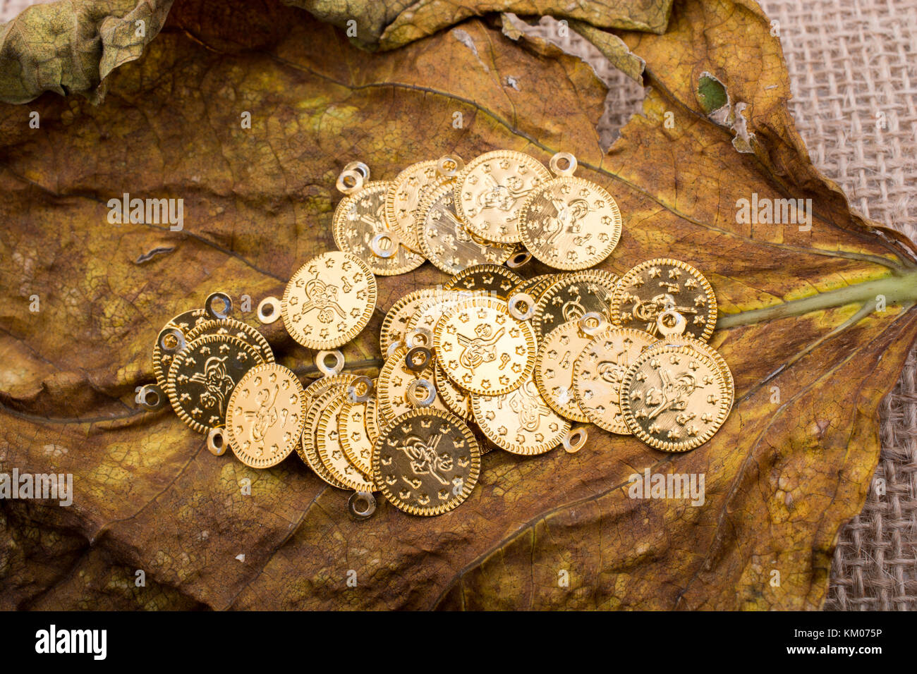 Plenty of fake gold coins are on a dry leaf Stock Photo - Alamy