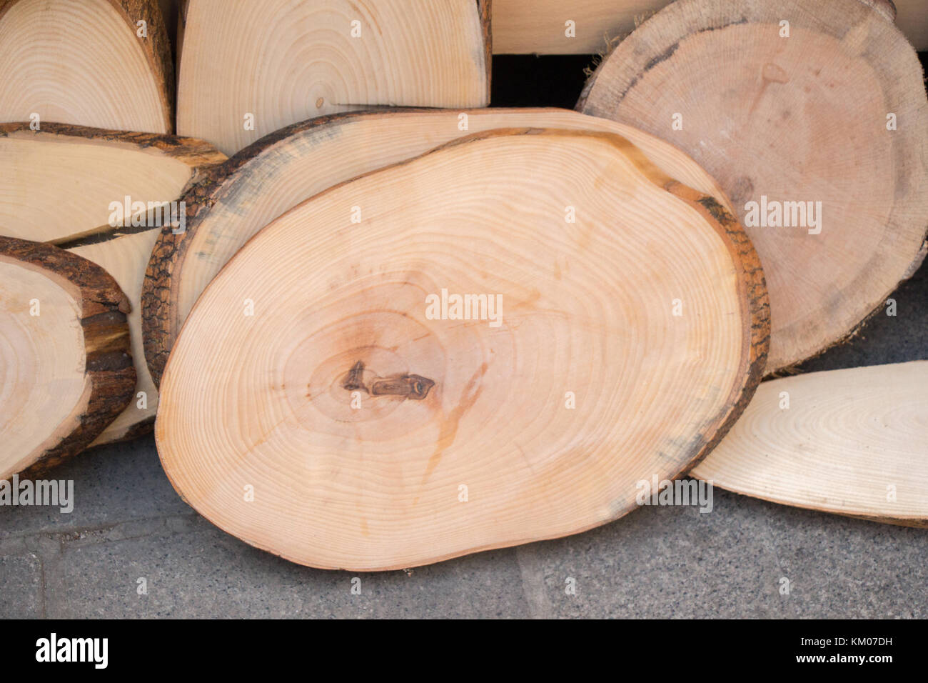 Wood Log cut in round thin pieces in view Stock Photo - Alamy