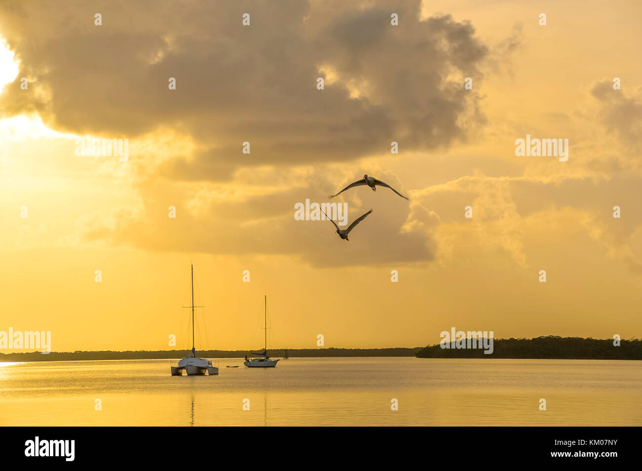 Sunset at Key West Florida USA with birds flying on the sky Stock Photo ...