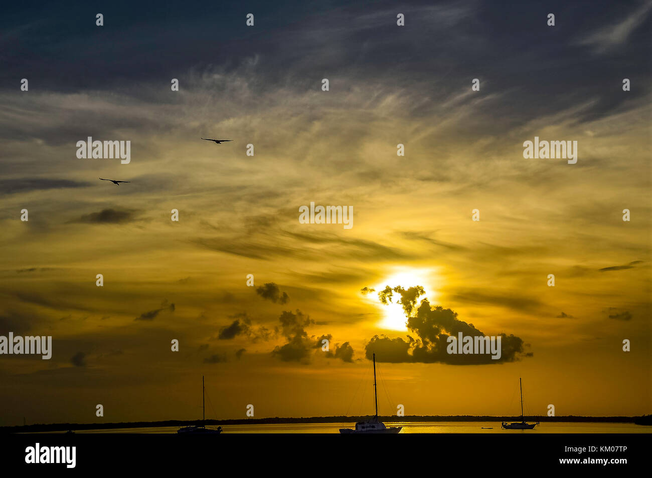 Sunset at Key West Florida USA with birds flying on the sky Stock Photo ...