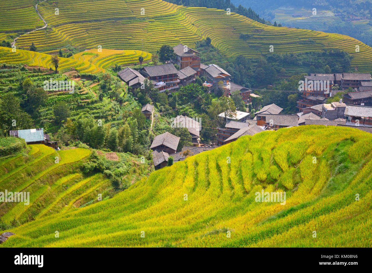 The Longsheng Rice Terraces(Dragon's Backbone) also known as Longji ...