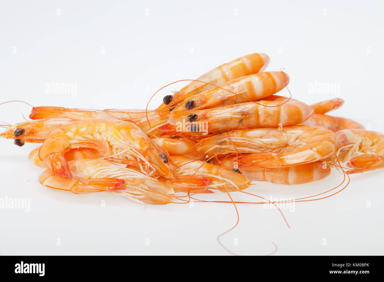 fresh shrimp isolated on a white background Stock Photo - Alamy