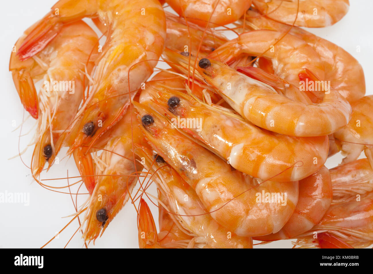 fresh shrimp isolated on a white background Stock Photo - Alamy