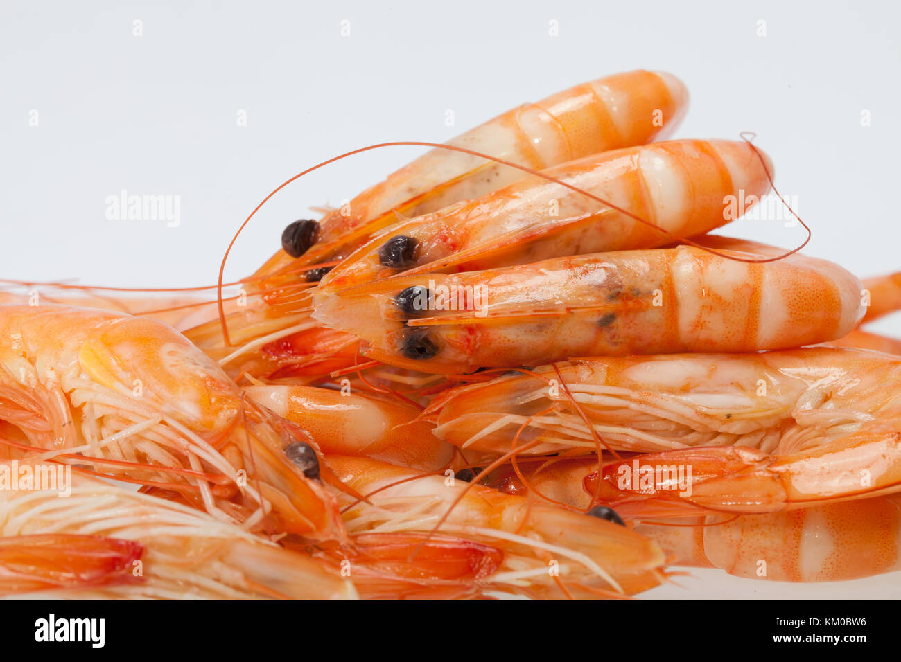 fresh shrimp isolated on a white background Stock Photo - Alamy