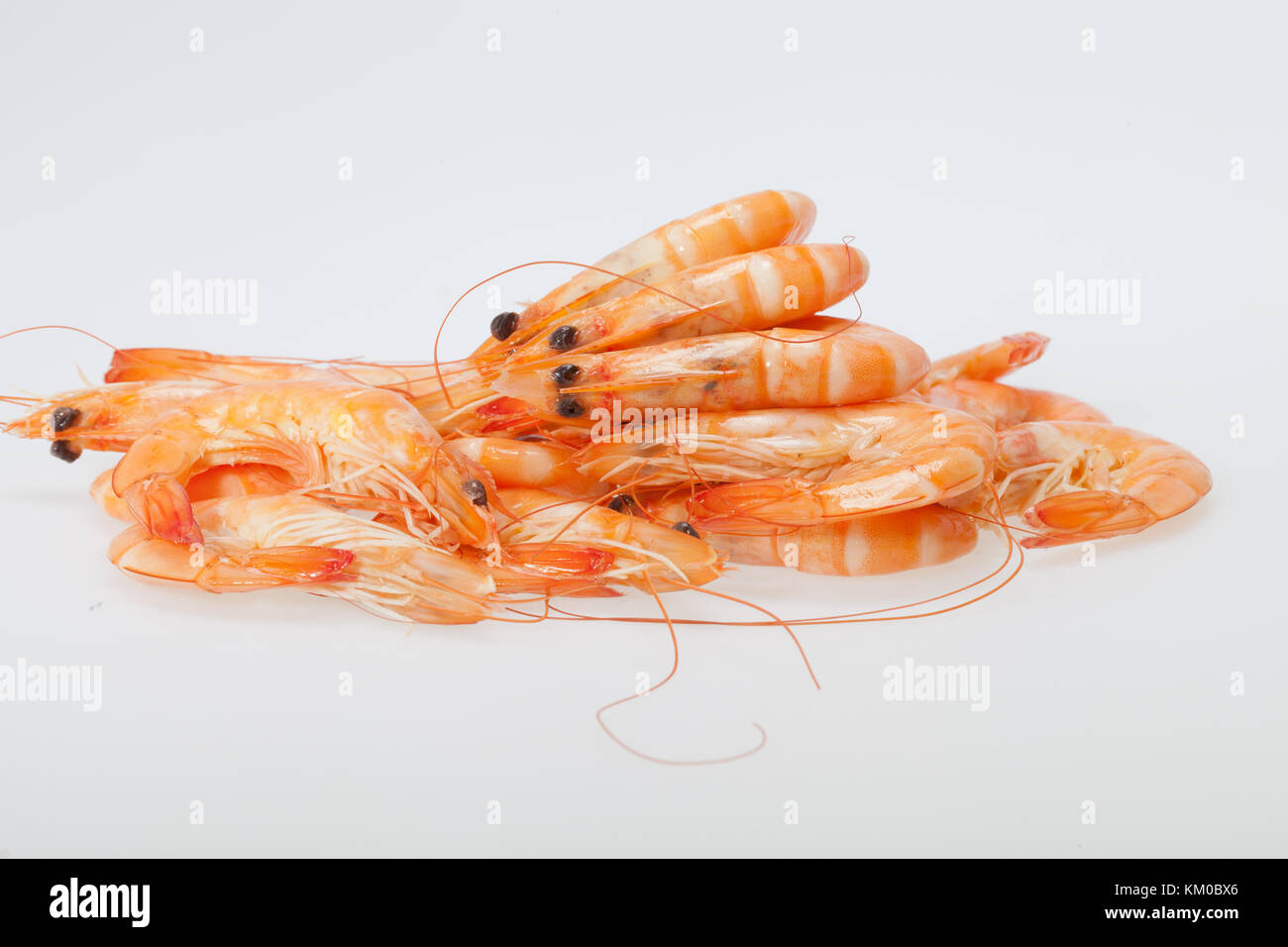 fresh shrimp isolated on a white background Stock Photo - Alamy