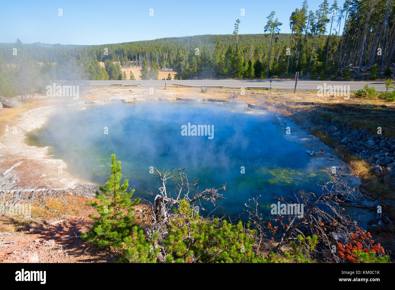 Lower geyser basin in the Yellowstone National park, USA Stock Photo ...