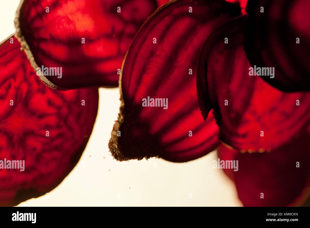 sliced raw beet Stock Photo - Alamy