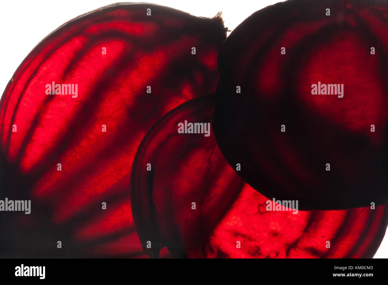 sliced raw beet Stock Photo - Alamy