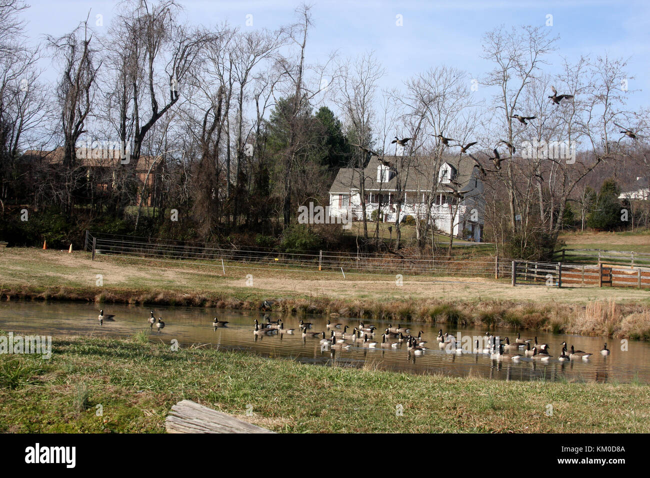 Virginias wildlife hi-res stock photography and images - Alamy