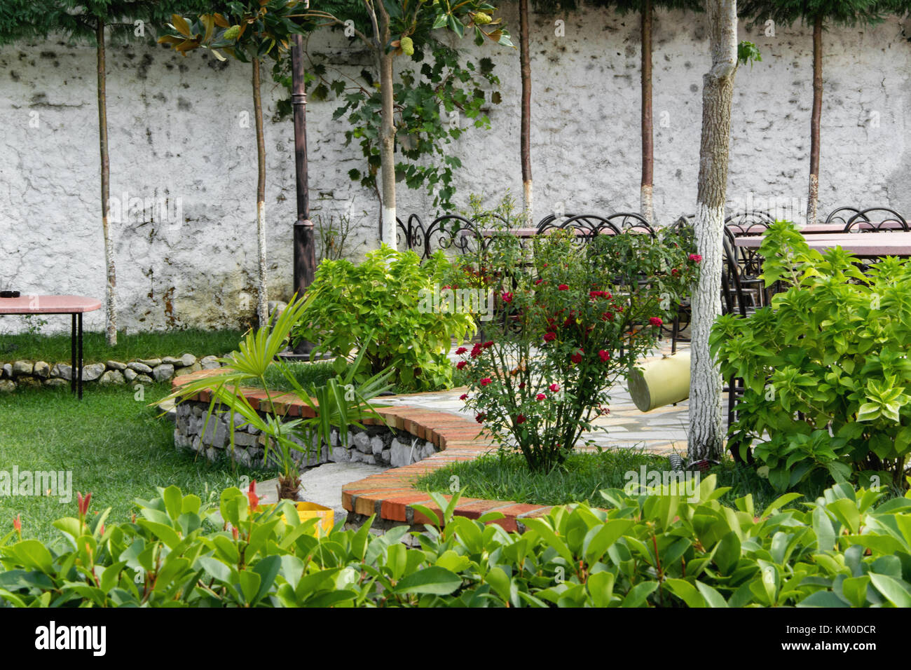 Fresh green garden design Stock Photo - Alamy